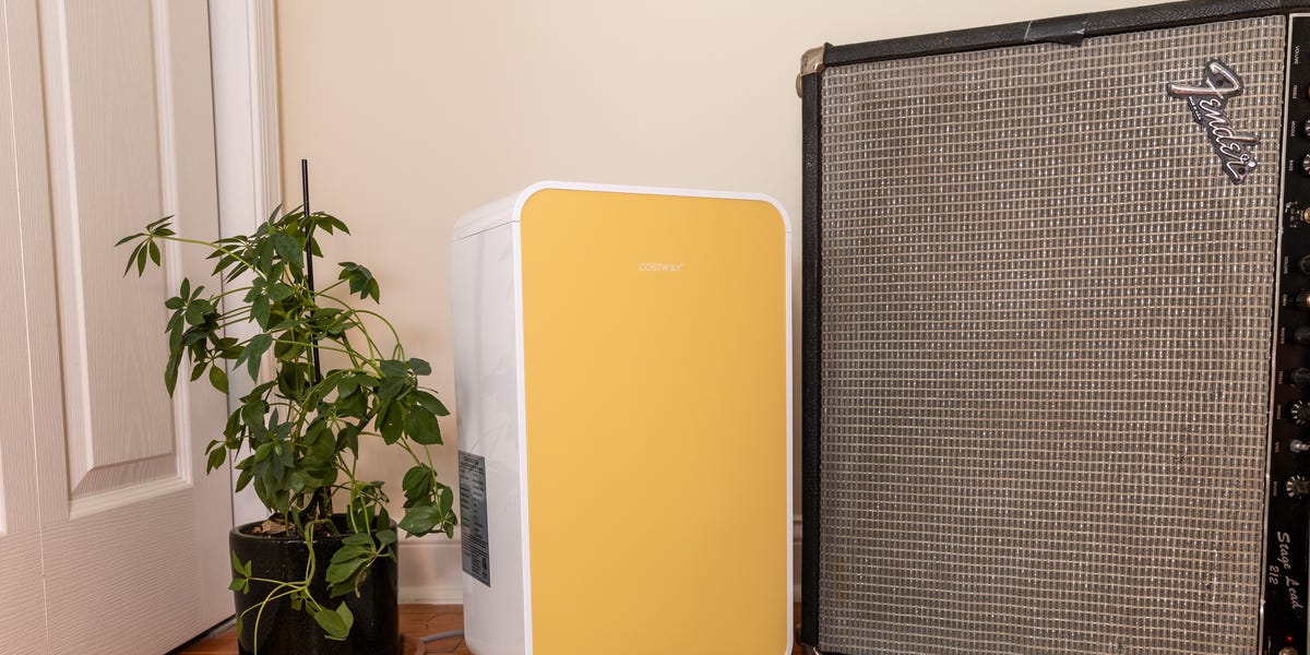 Got a musty attic or damp basement? These humidifiers pull pints of ...