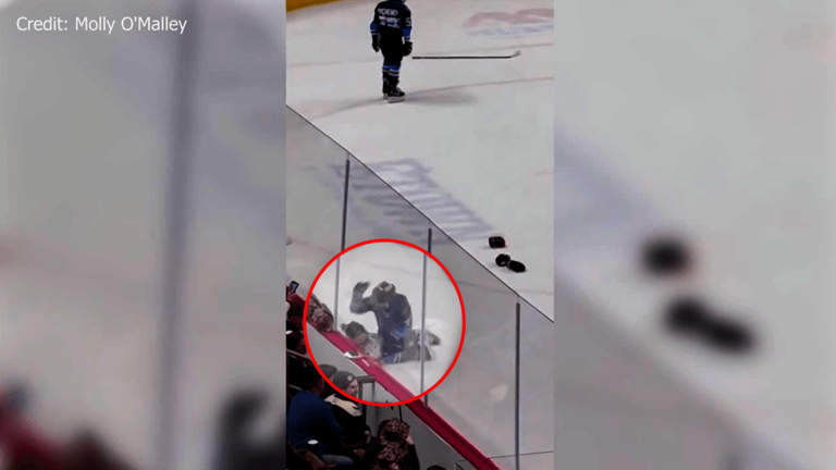 Youth ice hockey club releases statement following 'staged fight' at ...