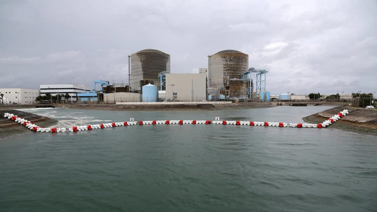Florida needs small modular nuclear reactors. Here’s a blueprint | Column