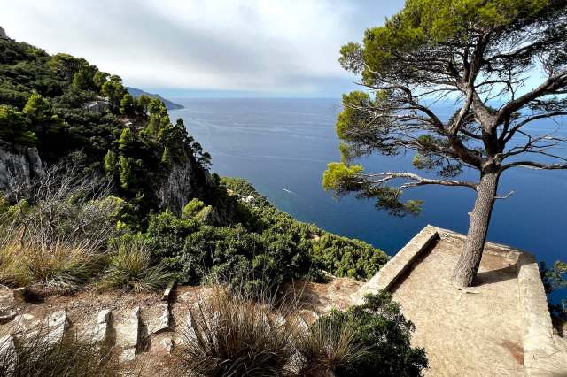 Experts issue warning as harmful snakes spread into new territory ...