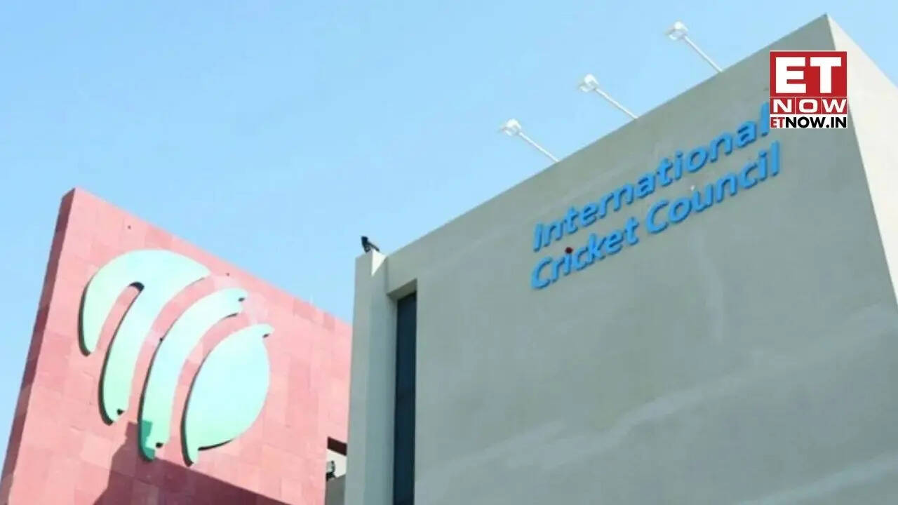 'Its very existence is unnecessary': Former Pakistan cricketer Saeed ...