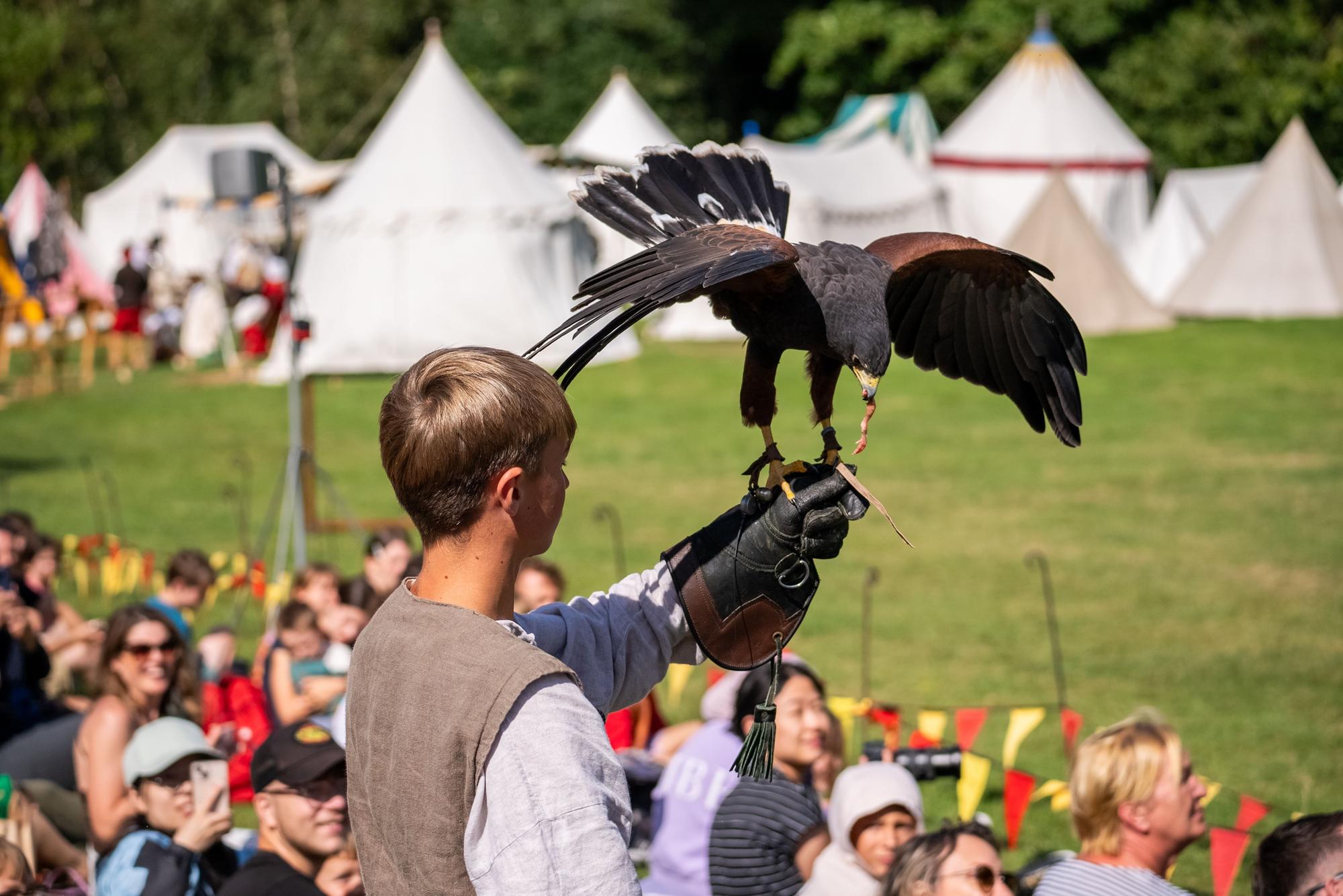 Arundel Castle announces events lineup for 2026