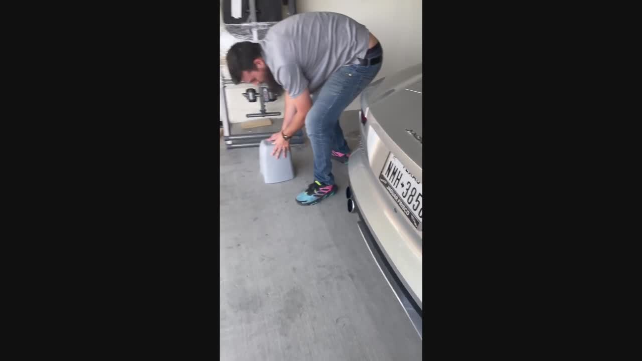 One the Most Venomous Animals in World Found in My Garage