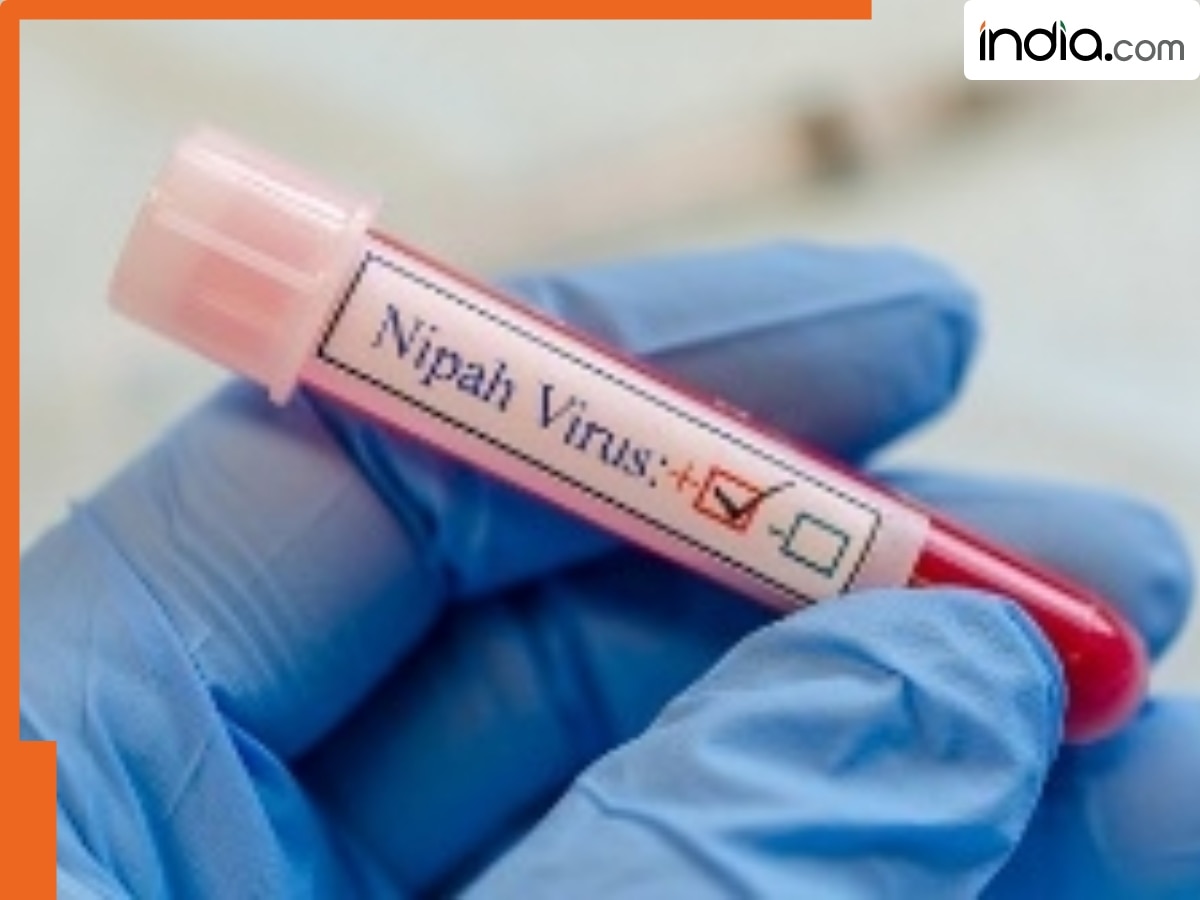 Health alert in West Bengal as 2 suspected cases of Nipah virus ...