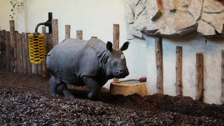 Co w tym roku przygotowało ZOO we Wrocławiu dla zwiedzających? Czy ...