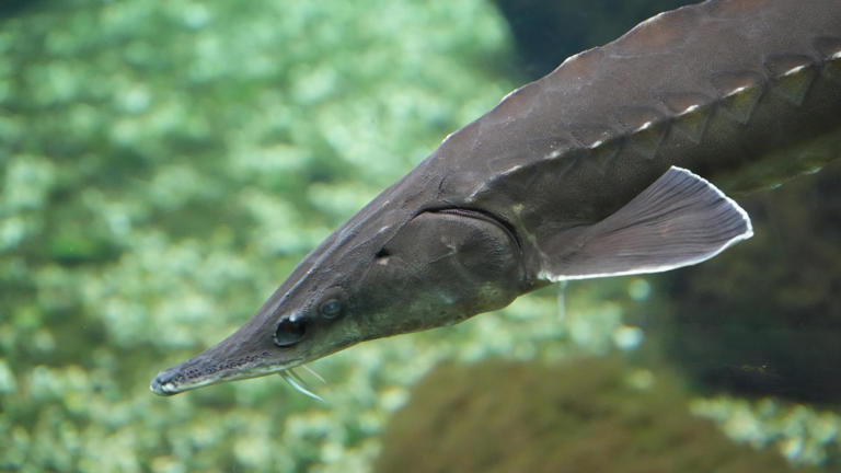 Co w tym roku przygotowało ZOO we Wrocławiu dla zwiedzających? Czy ...