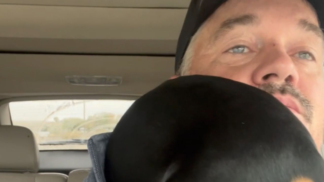 The playful dachshund snuggles up in his owner's hoodie, eliminating ...