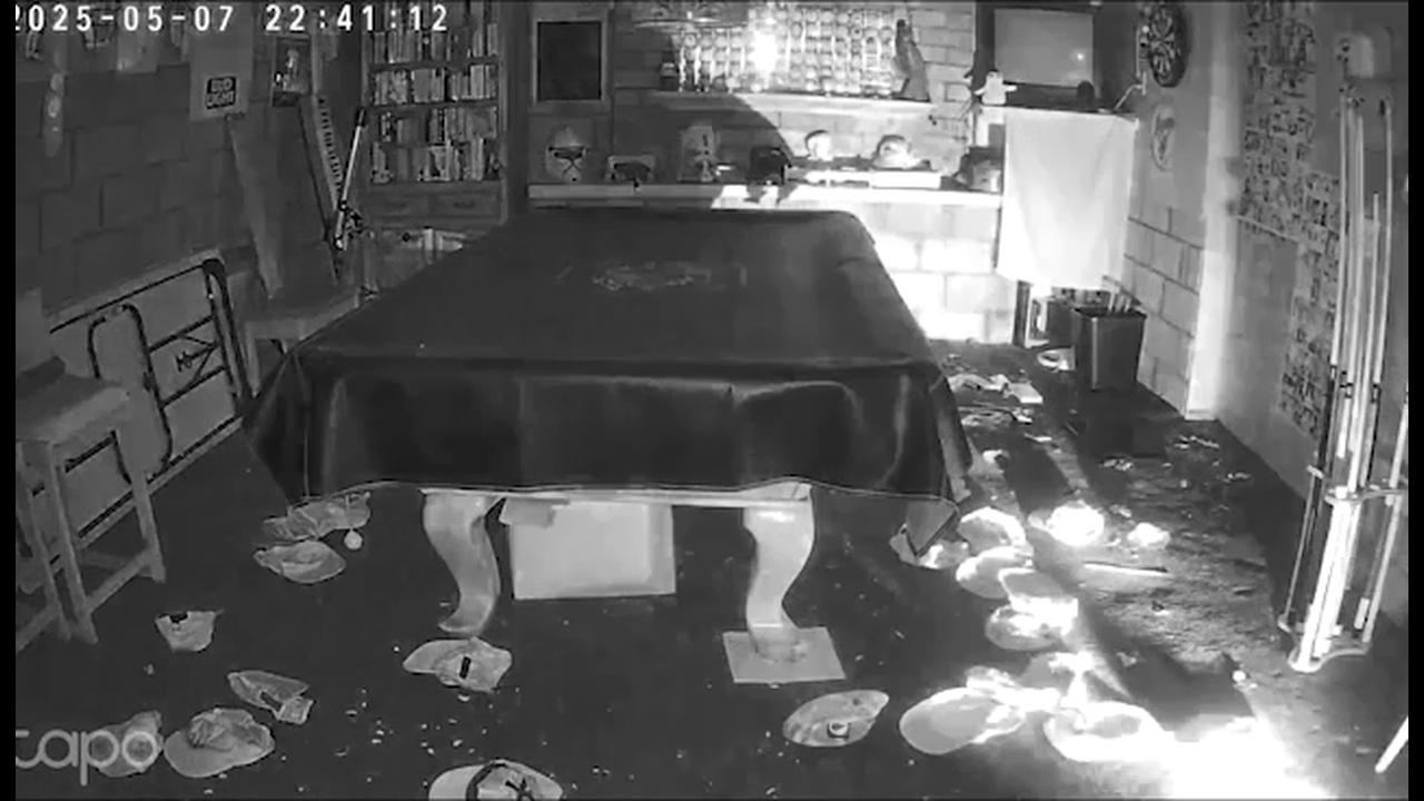 Rat decorates basement with hats