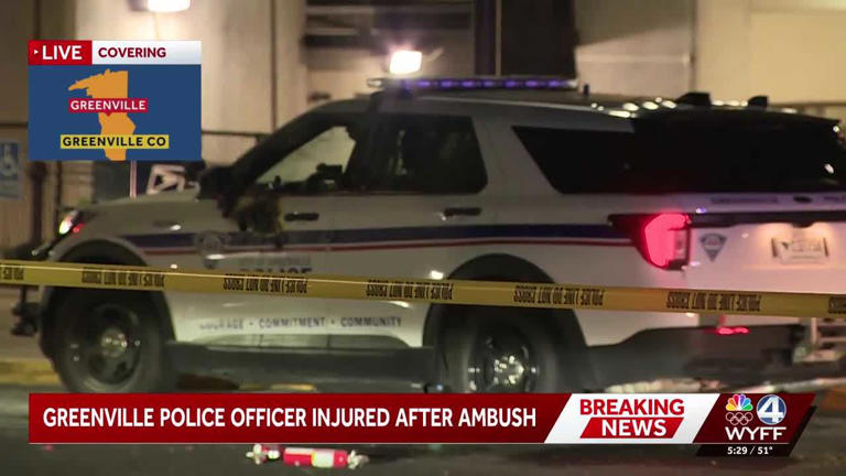 What did authorities know about the man accused of ambushing, shooting ...