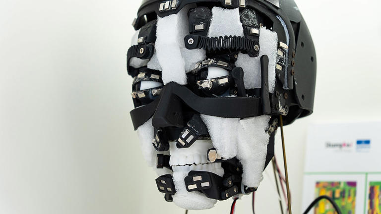 Robots that feel pain react faster than humans