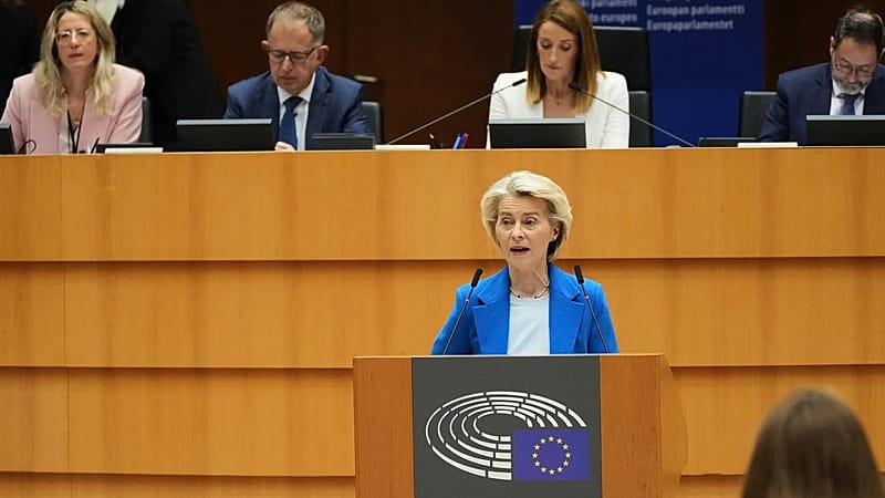 Simpler rules for next EU budget could weaken spending oversight, EU ...