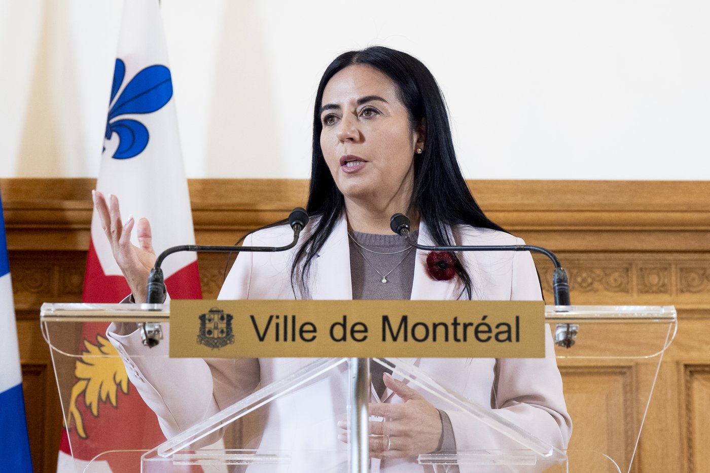 Montreal's $7.7B budget raises spending by 5.4 per cent, has money for ...