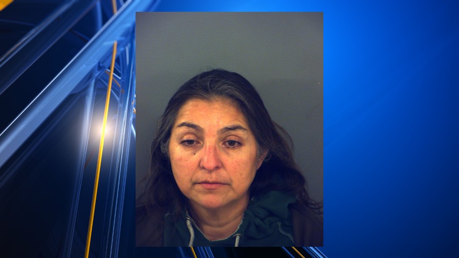 Woman arrested after neglected dog with wound found