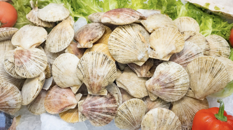 12 cooking mistakes that will ruin your scallops, according to chefs