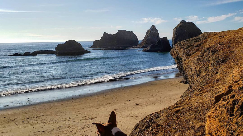 The Oregon Coast's exquisite destination campground has yurts and a ...