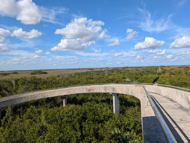 A 15-mile bike trail in Florida offers a front-row view of the Everglades