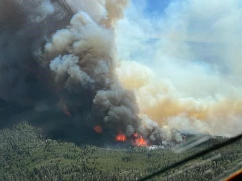 USU researchers predict 60% wildfire increase in Utah forests by 2050