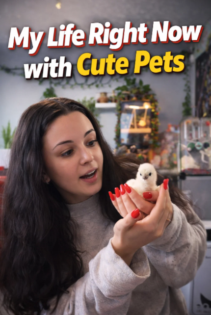 My life right now with cute pets