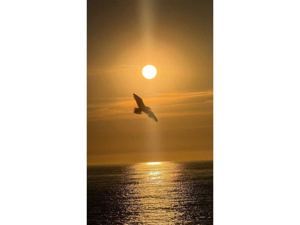 Flying high over Aliso Beach: Photo of the day