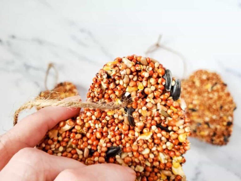 Easy DIY birdseed ornaments