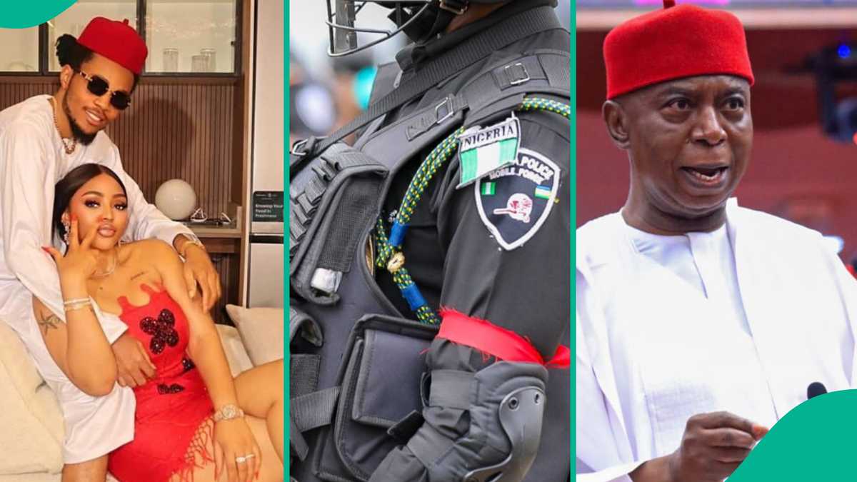 "He wants her back": Moment police arrested Regina Daniels' brother on ...