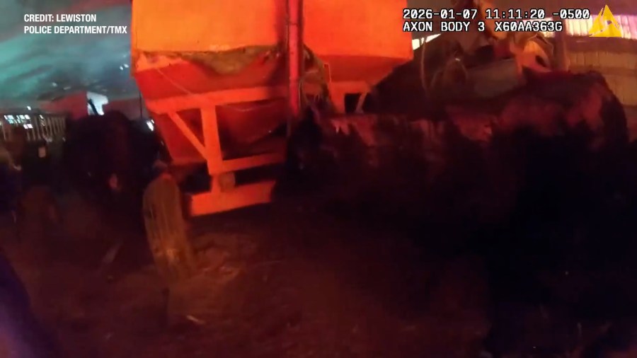 Video: Officers rescue cows trapped in burning barn as flames rapidly ...