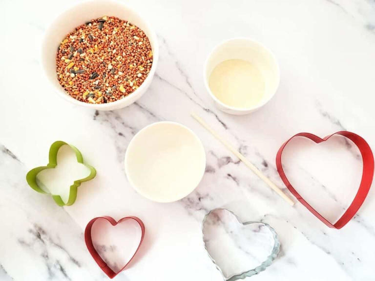 Easy DIY birdseed ornaments