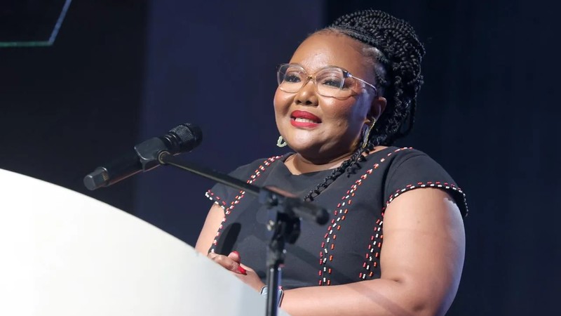 Read in full: Education Minister's matric results speech