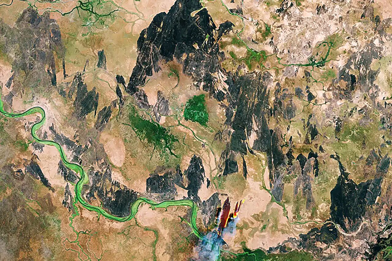 Major gaps in global satellite maps of forests raise policy concerns