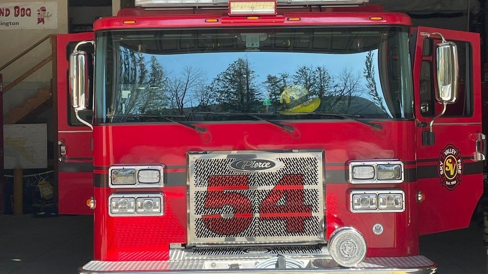 Firefighters: Unresponsive puppies brought to fire station likely OD'd ...