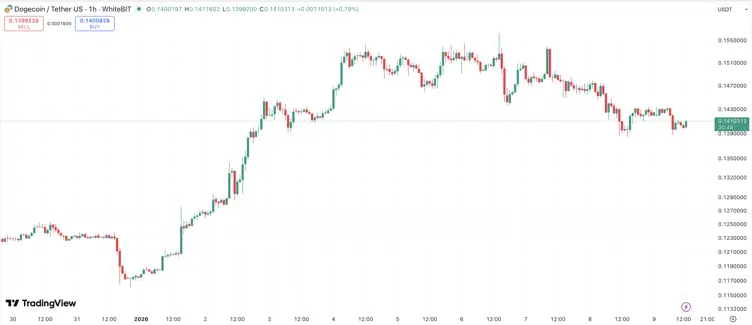 Dogecoin made millionaires in 2021, this new crypto could be the next DOGE