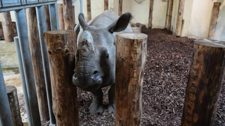 Co w tym roku przygotowało ZOO we Wrocławiu dla zwiedzających? Czy ...