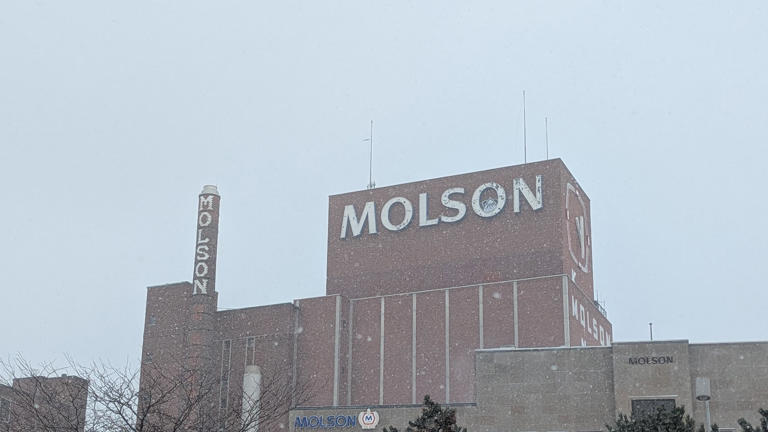 « Molson », « Kong » et « Sluk » : l’usine Molson vandalisée à Montréal