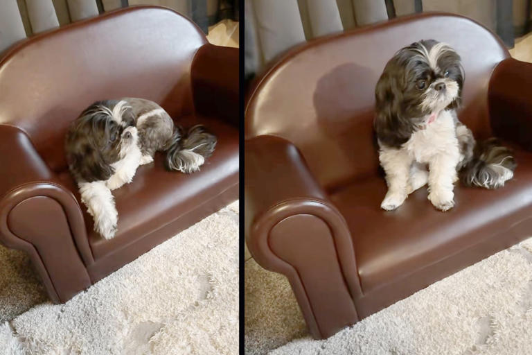 Sofa bei Billig-Shop bestellt: Beim Auspacken fällt Paar die Kinnlade ...