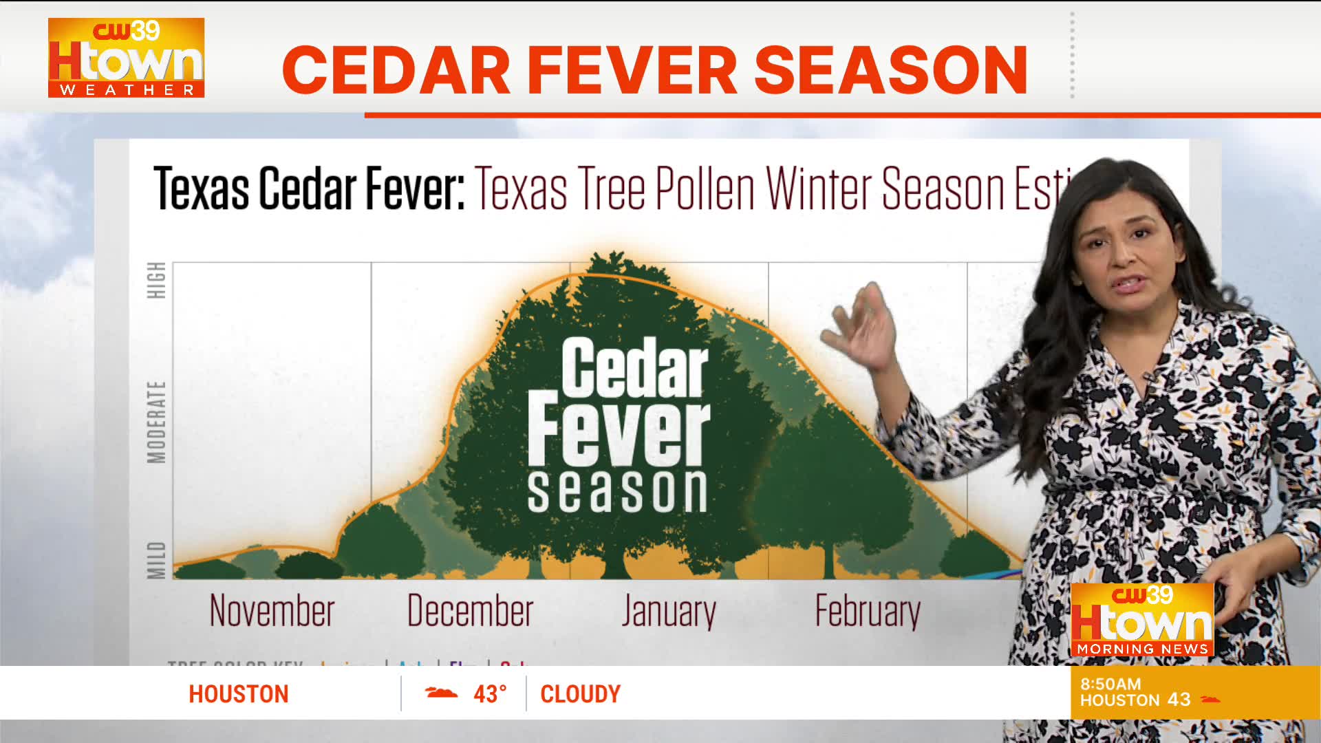 Sneezing? Itchy, watery eyes? It's the peak of cedar season