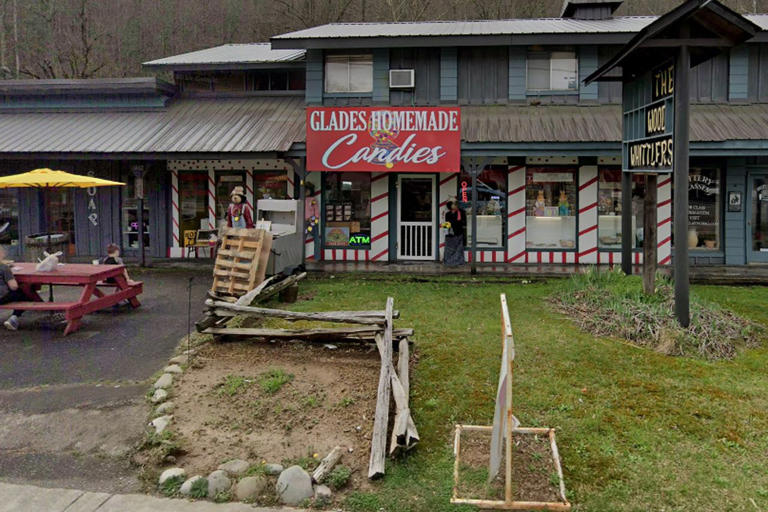 Tenn. candy store ransacked by hungry 'persistent' bear for the fourth time