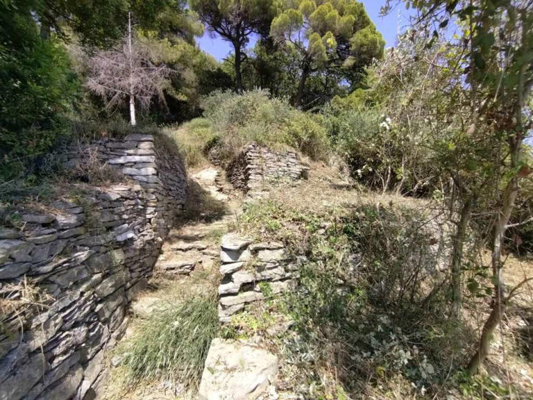 Chiavari: affitto collina delle Grazie, la Fondazione Torriglia vince ...
