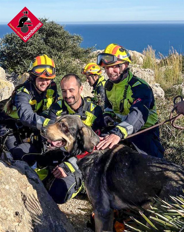 Rescatan a un mastín tras caer entre rocas en el Cabo de San Antonio