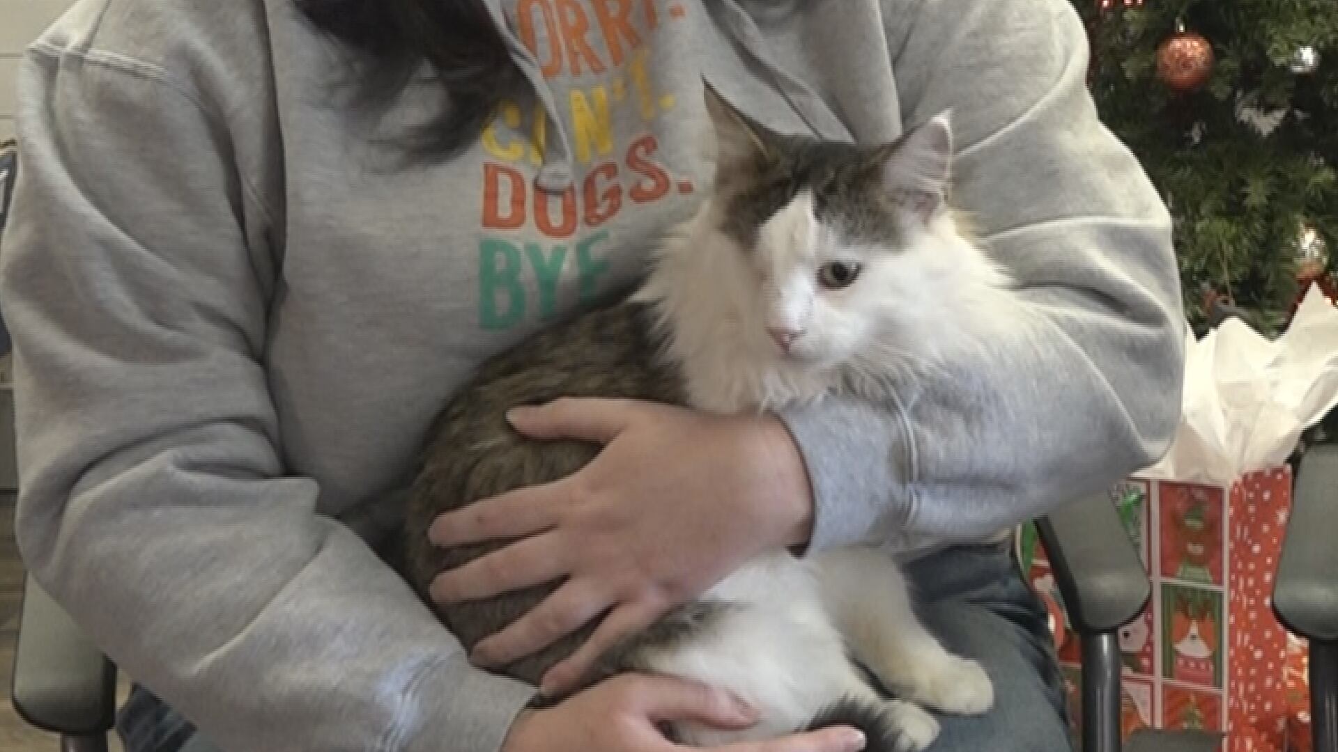 Leigh’s lost and found: Two volunteers go to extreme lengths to save a ...