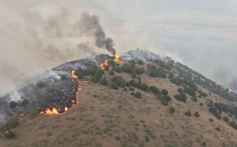 USU researchers predict 60% wildfire increase in Utah forests by 2050