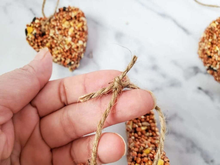 Easy DIY birdseed ornaments