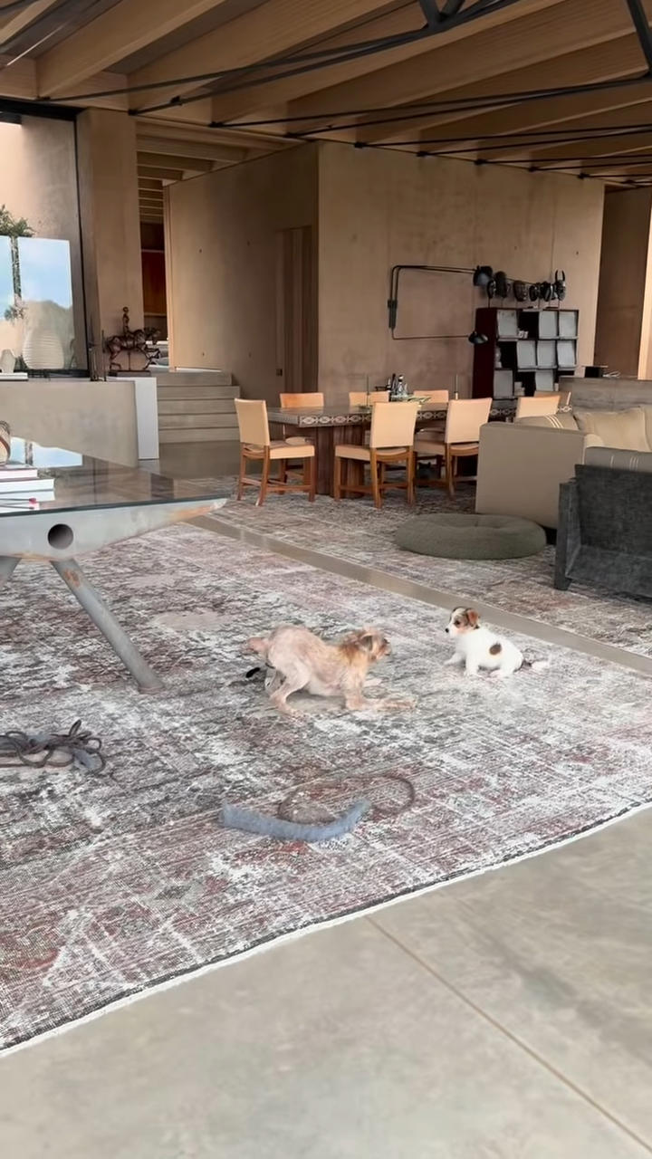 Ellen DeGeneres just bought another home in California as rumors swirl ...