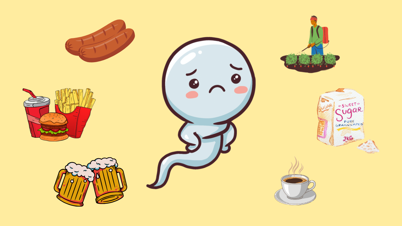 6 Foods That Can Kill Your Sperms