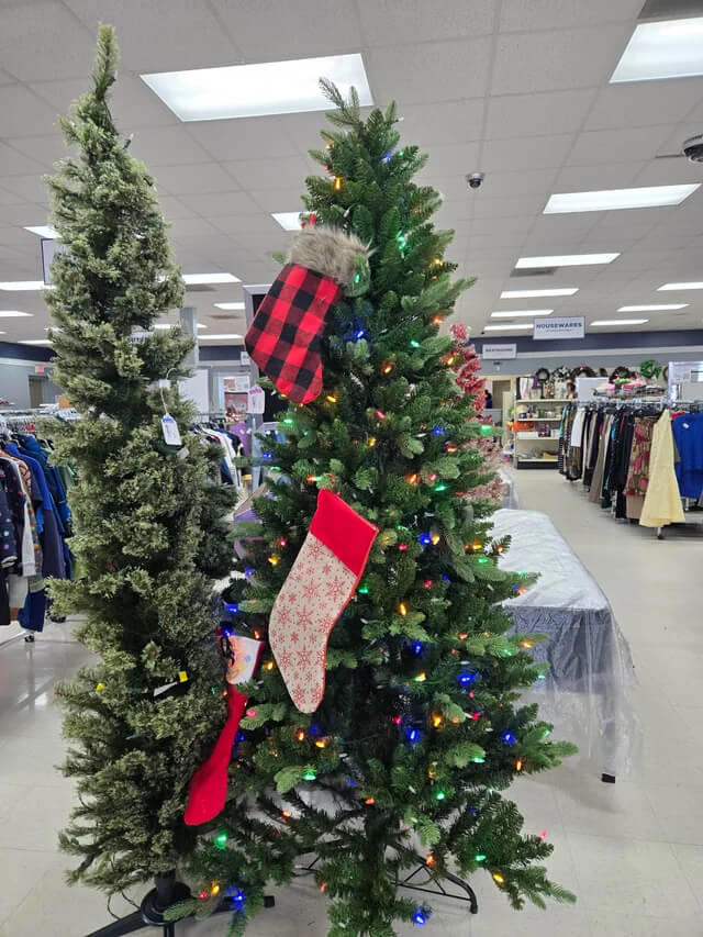 Shopper sparks outrage after sharing photo of holiday sighting at ...