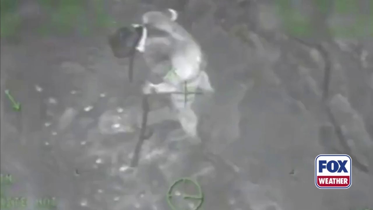 Members of the US Coast Guard rescue a stranded surfer in Puerto Rico