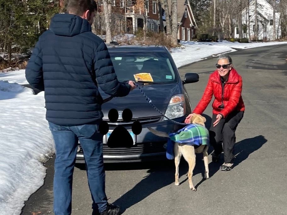 West Hartford's canine miracle: How a lost dog was found after 12 days ...