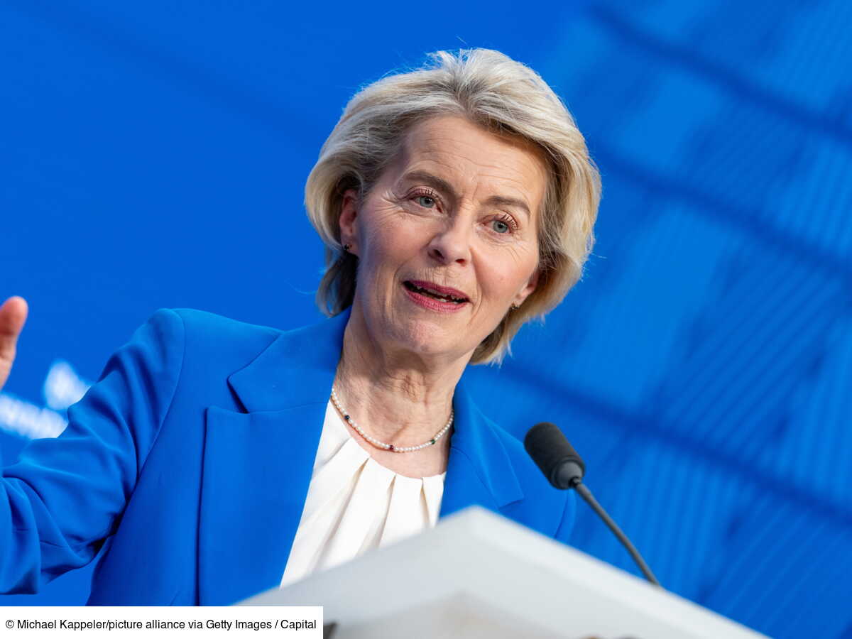 Mercosur : l'UE va-t-elle faire appliquer le traité avant même sa ...