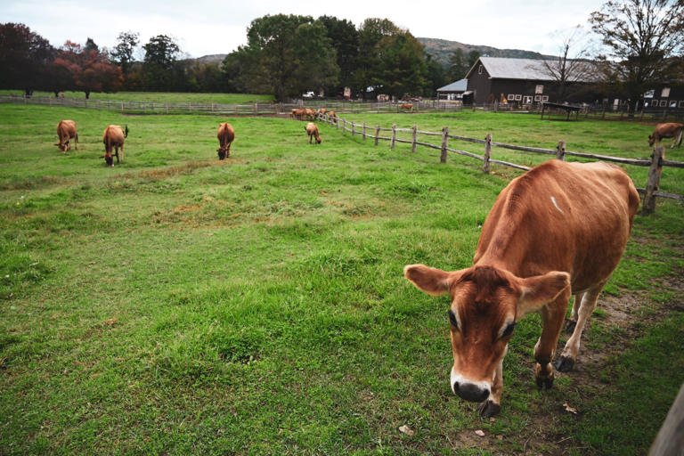 Discover this tiny historic town in Vermont - perfect for a day trip