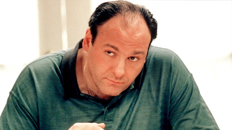 20 actors you totally forgot were on The Sopranos