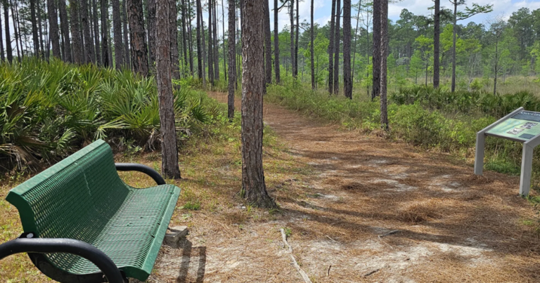 Not into birdwatching? This Mississippi wildlife refuge will change ...